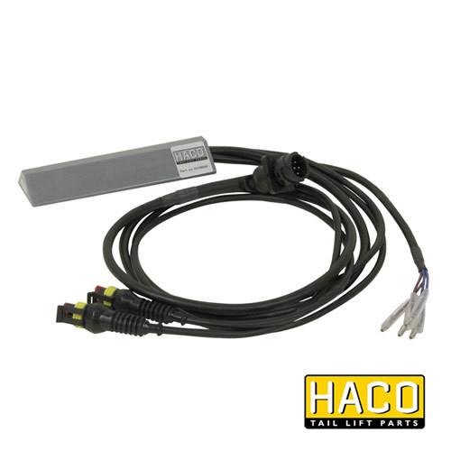 Foot control electronic BG HACO to suit Bar Cargo 101131116