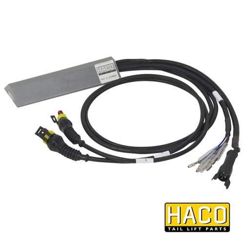 Foot control electronic BG HACO to suit Bar Cargo 101131115